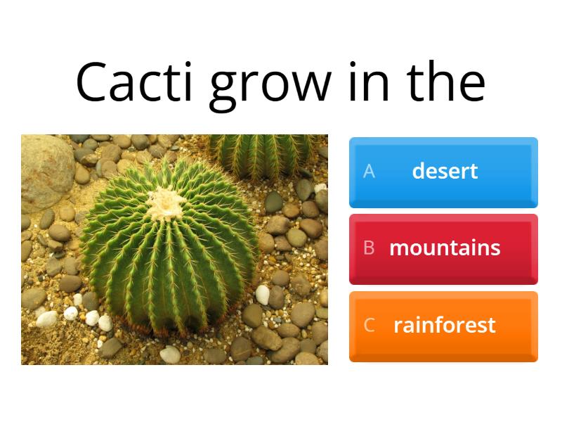 Plant adaptations - Quiz