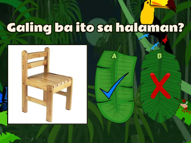 Uses of Plants/ Mga bagay o Pagkain na Galing sa Halaman - Quiz