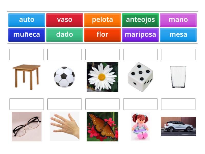 objetos que se pueden ver y tocar - Match up