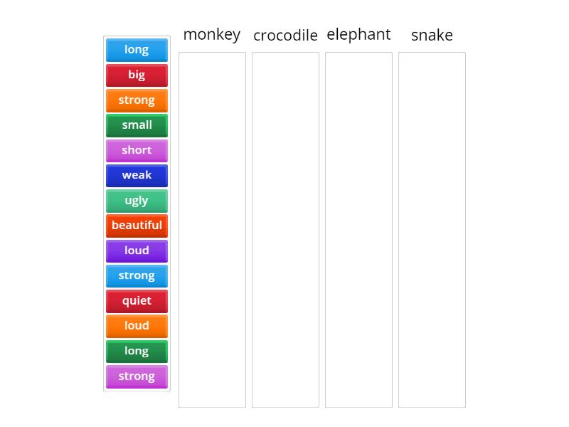 Adjectives and wild animals - Categorize