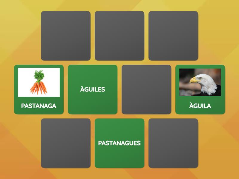 SINGULAR I PLURAL - Matching pairs