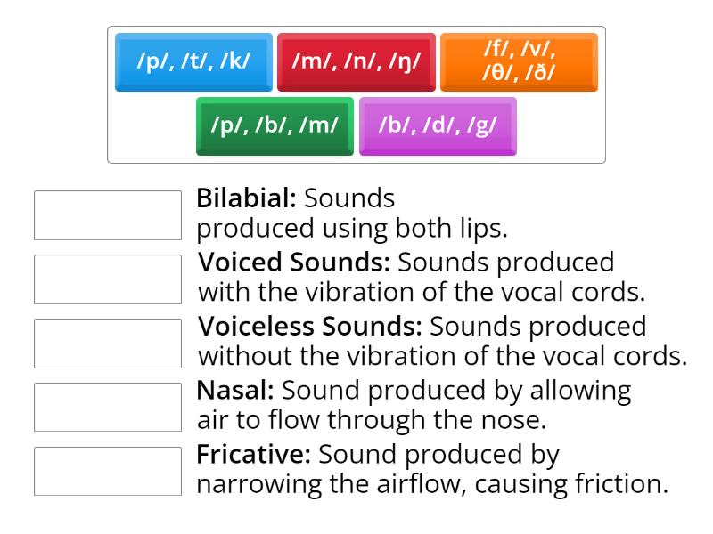 Phonetics Vocabulary - Match up
