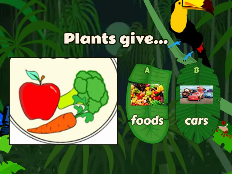 How Do Plants Help Us? - Quiz