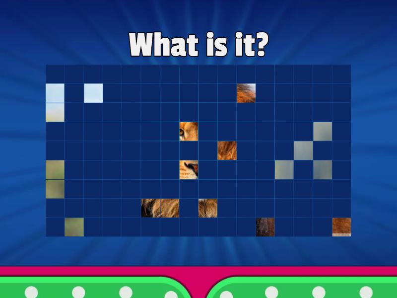 Wild Animals - EW - Image quiz