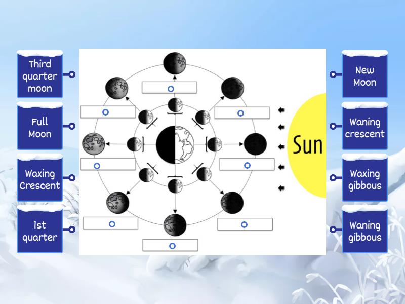 Lunar Phases - Labelled diagram