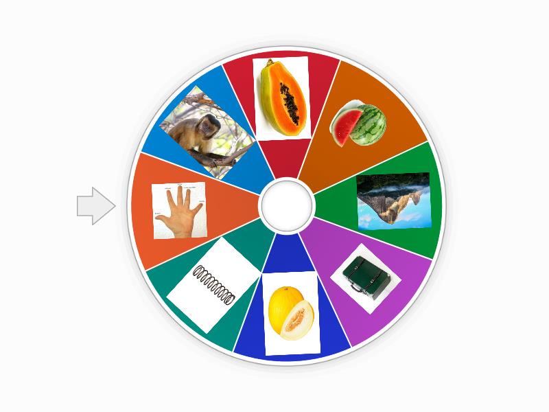 PALAVRAS COM A LETRA M - Spin the wheel