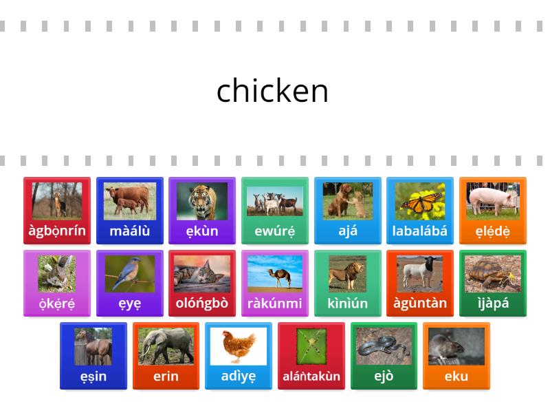 Ẹranko (Animals in Yoruba) - Find the match