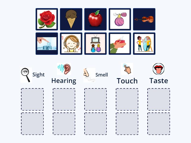 5 senses - Group sort