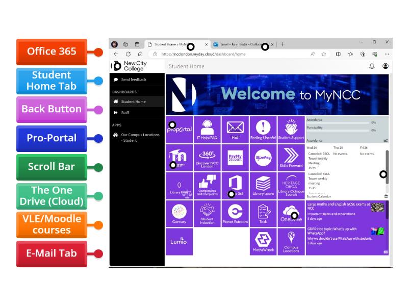 Edge Browser Tabs - Labelled diagram