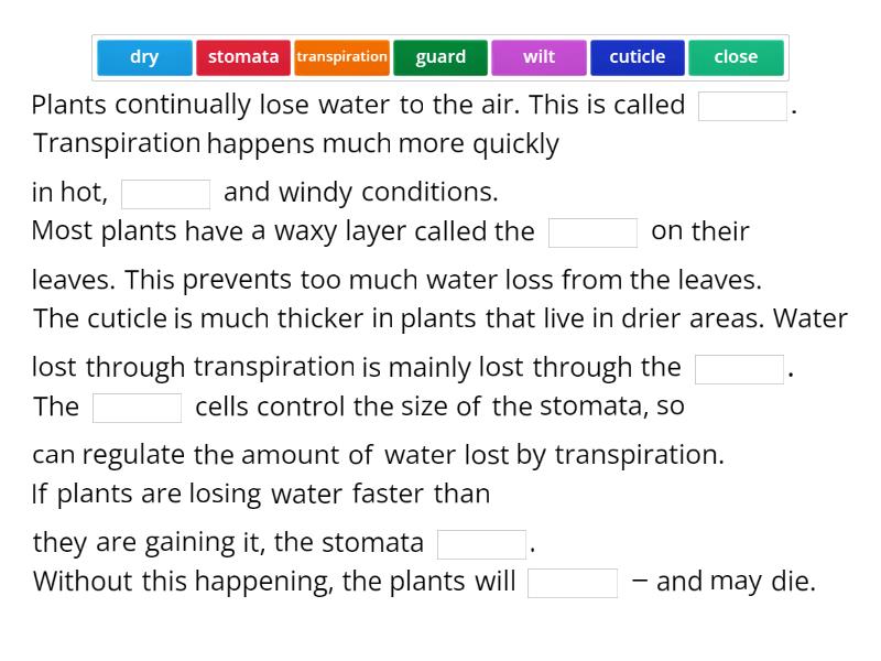 Transpiration - Missing word