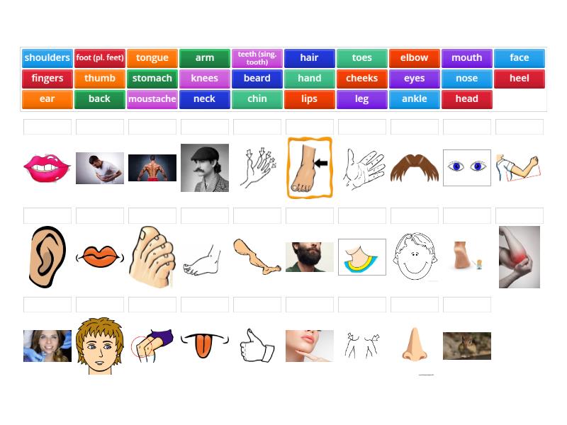 EF Inter. Unit 6 Body parts - Match up