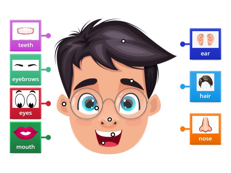 Parts of the face 2 - Labelled diagram