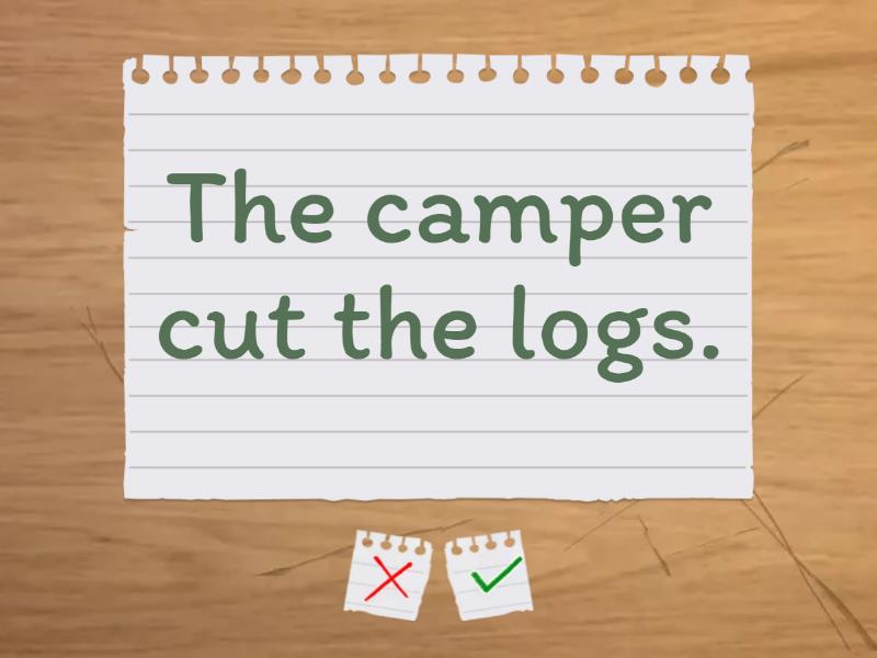 S3 L5: Sentences - Flash cards