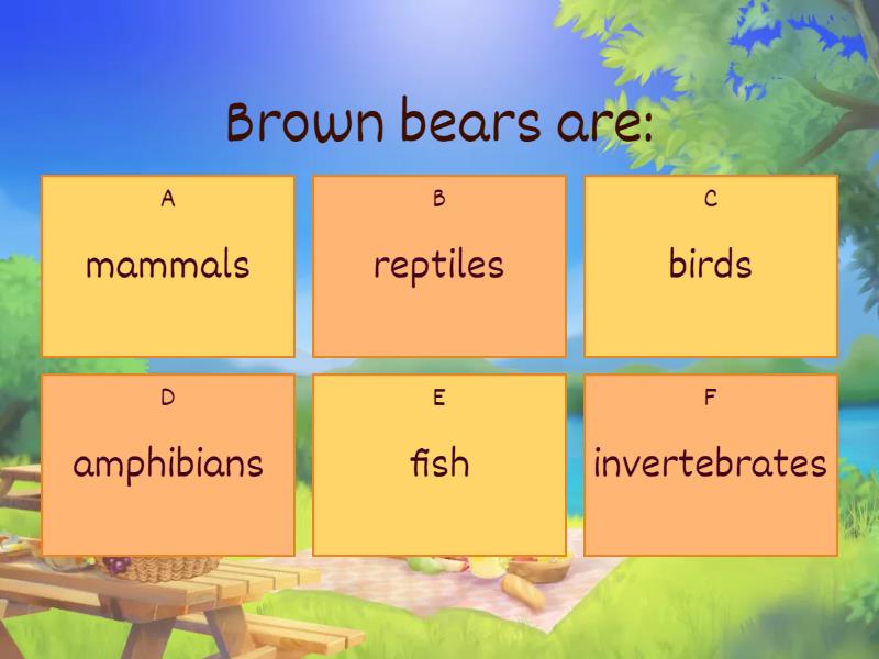 Brown Bears! - Quiz