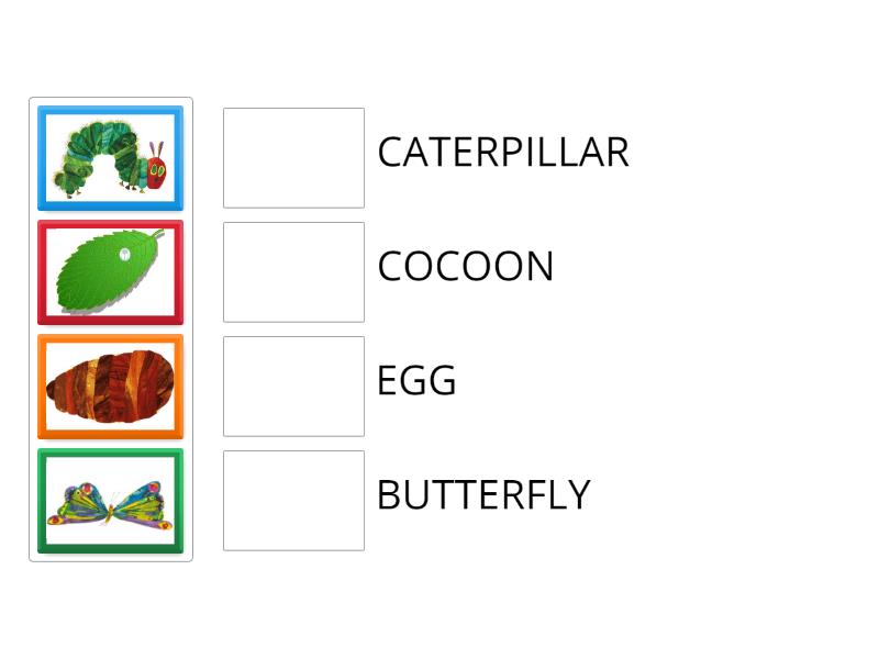 The Very Hungry Caterpillar - Match up