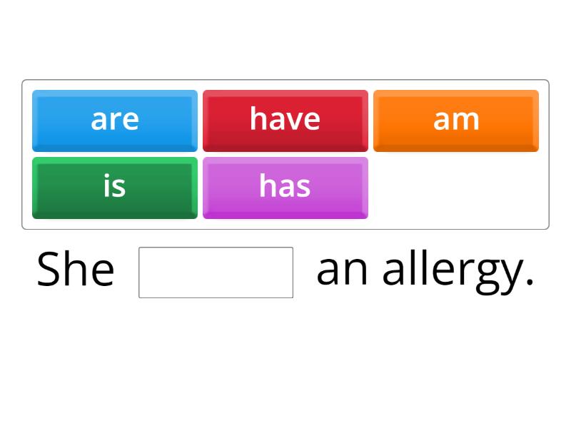 Sentences "Have/Has and Verb to be" - Completar la frase