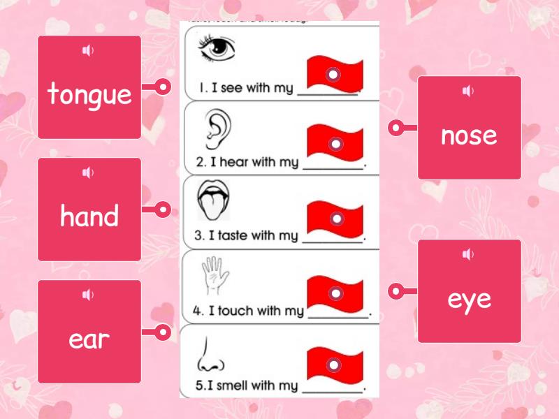 P3 My Body & 5 Senses (Label Diagram) - Diagrama con etiquetas