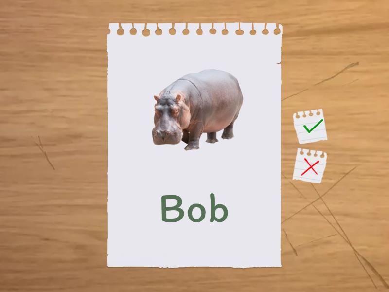 Super minds 2 unit 2 - Flash cards