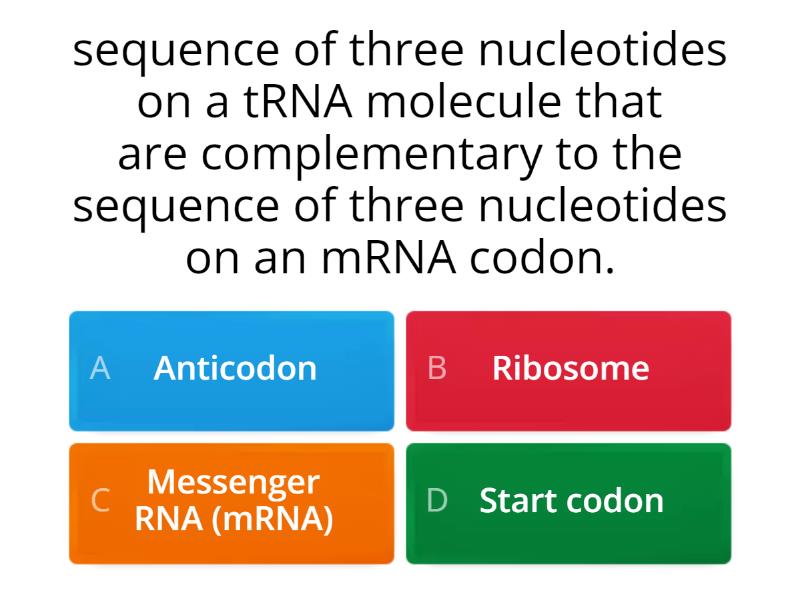 Protein Synthesis Vocabulary - Cuestionario