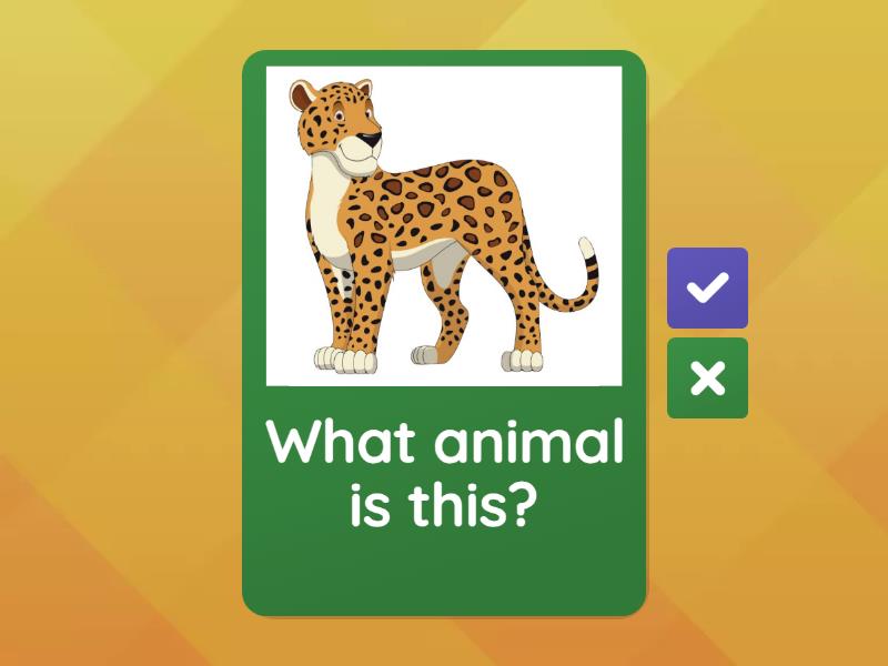 Animals and their Body Parts - Flash cards
