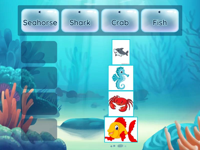 Sea Animals - Match up