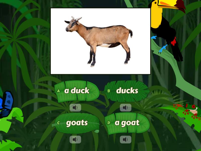 Unit 5 lesson 2: Farm animals- - Quiz