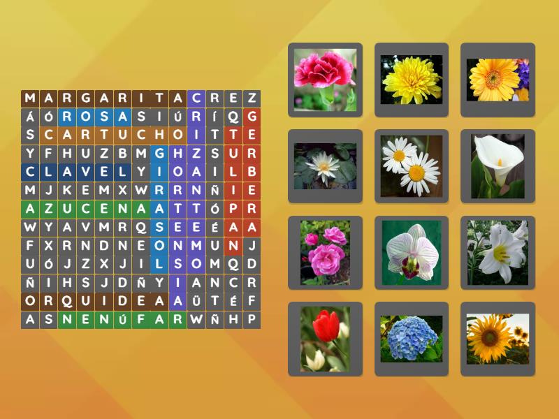 FLORES. Sopa de letras. - Wordsearch