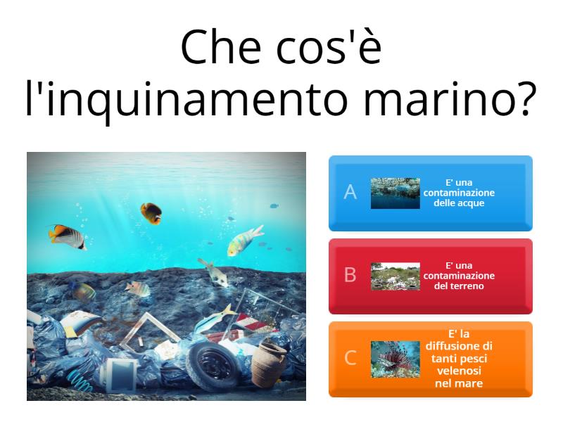 L' inquinamento idrico - Quiz
