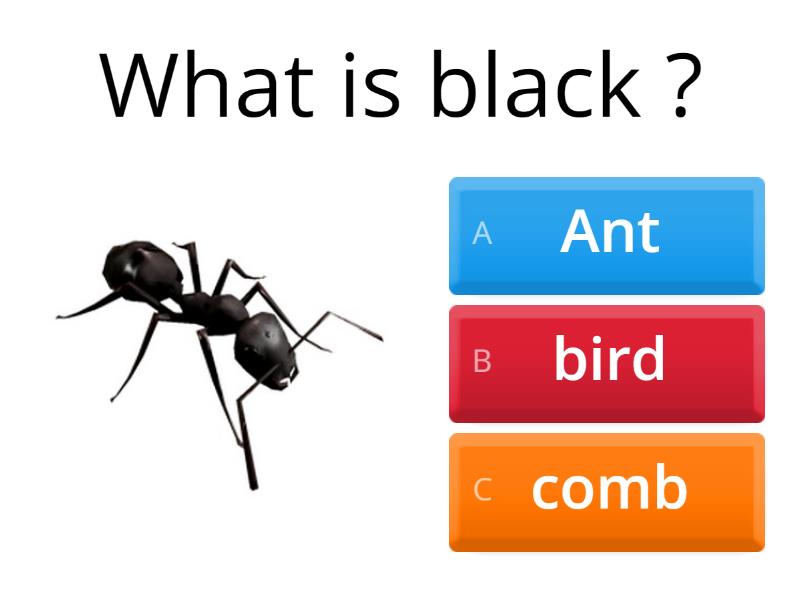 Black - Quiz