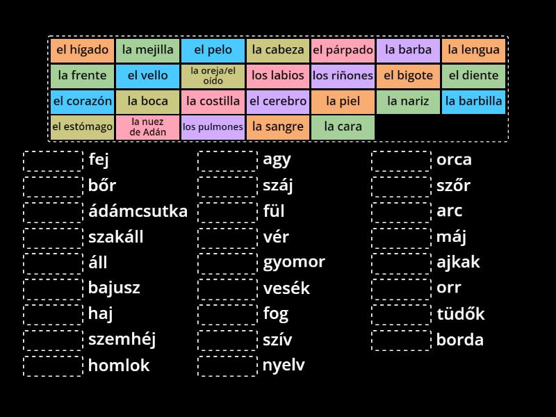 TESTRÉSZEK (2) - Match up