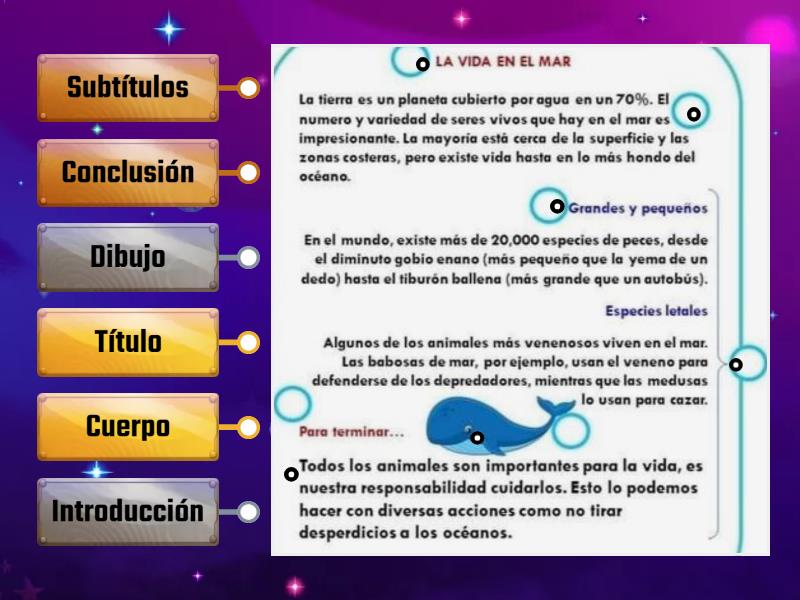 Partes del texto informativo - Labelled diagram