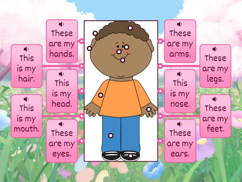 Label the body - Labelled diagram