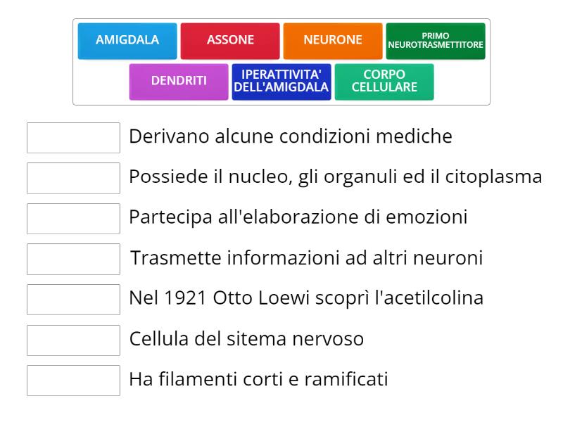 Neuroni - Match up