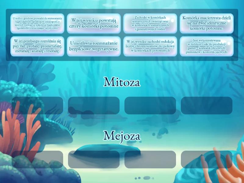 Mitoza i mejoza - biologia klasa 8 oraz liceum - Posortuj