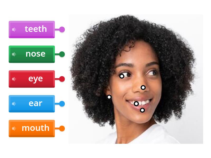 Face - Labelled diagram