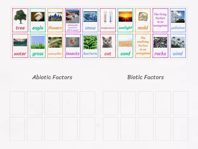 Abiotic vs Biotic Factors - Posortuj