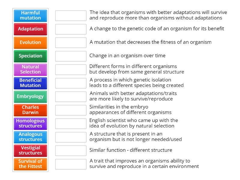 Adaptations 8th grade science - Match up
