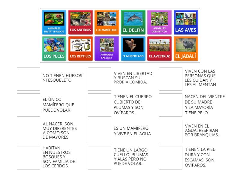REPASO UNIDAD. CONOCEMOS LOS ANIMALES. - Match up