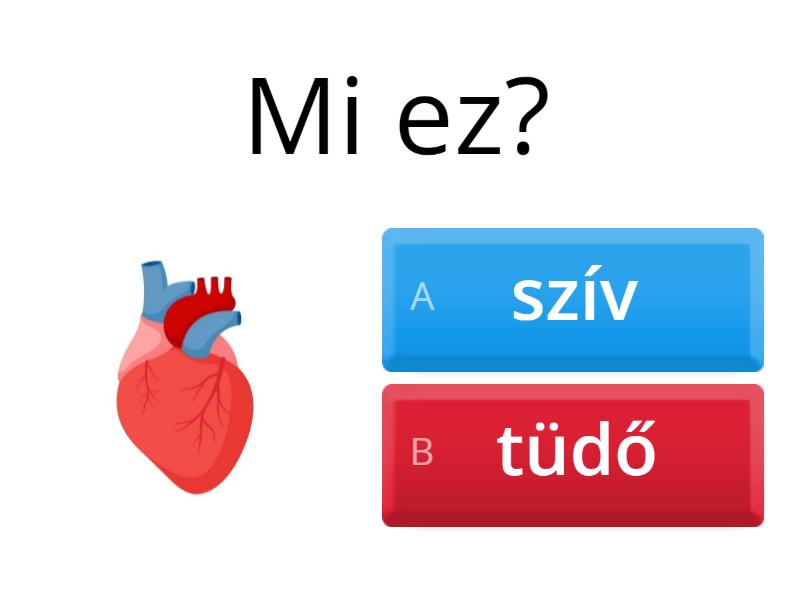 Emberi test - Cuestionario