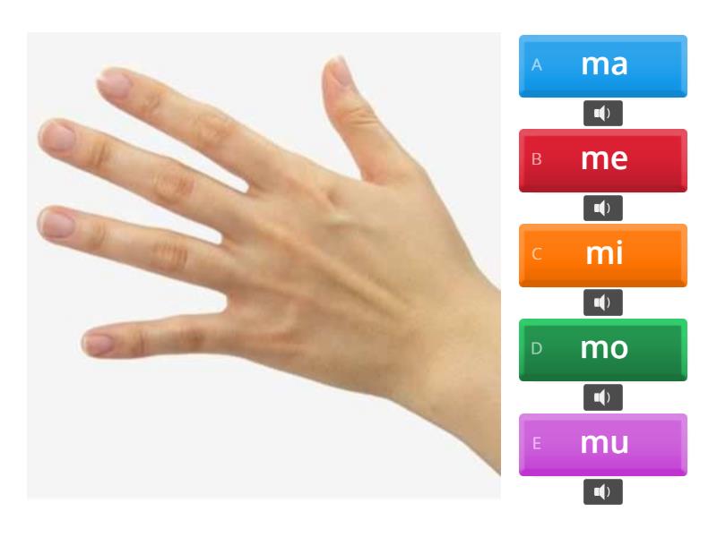 SILABAS INICIALES (M, S, P, L) - Quiz