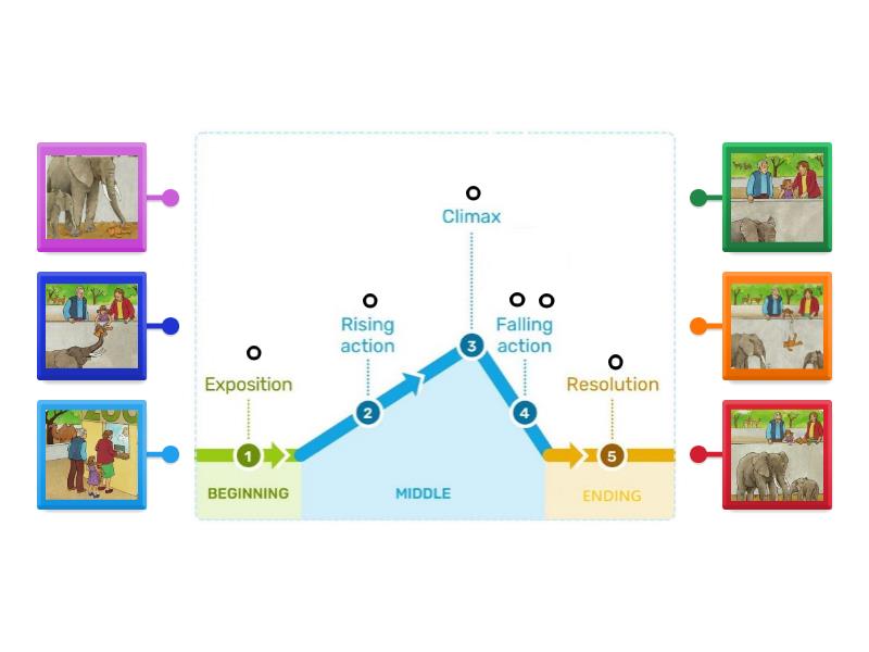 Match the pictures with the structure of the plot. - Labelled diagram