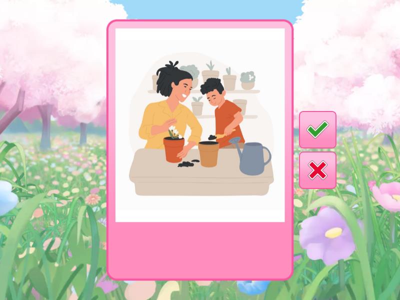 spring - Flash cards