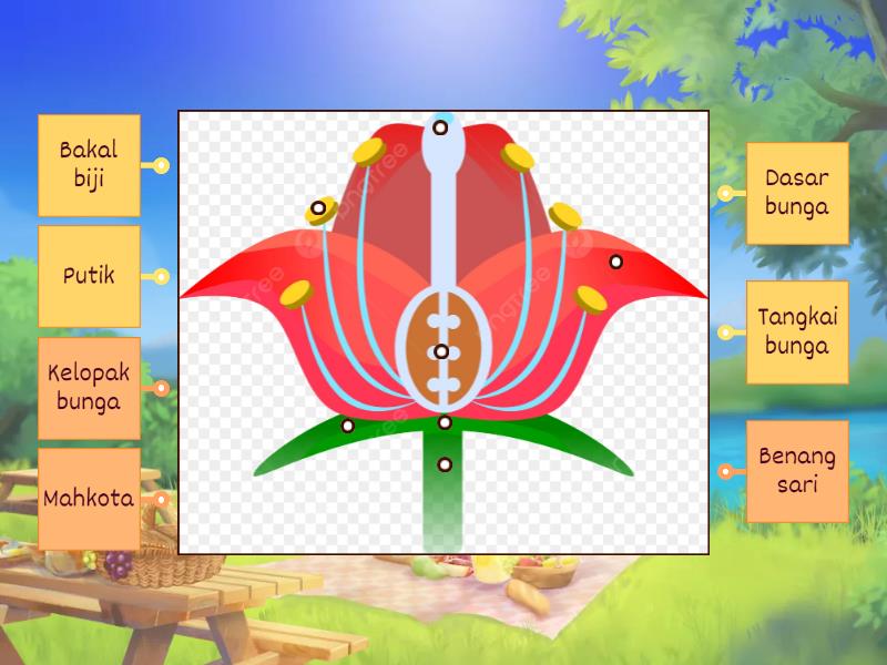 BAGIAN-BAGIAN BUNGA - Labelled diagram