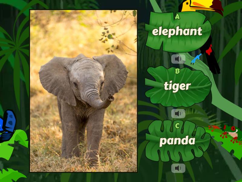 Animals (Smart Junior 2) Unit 5 - Quiz