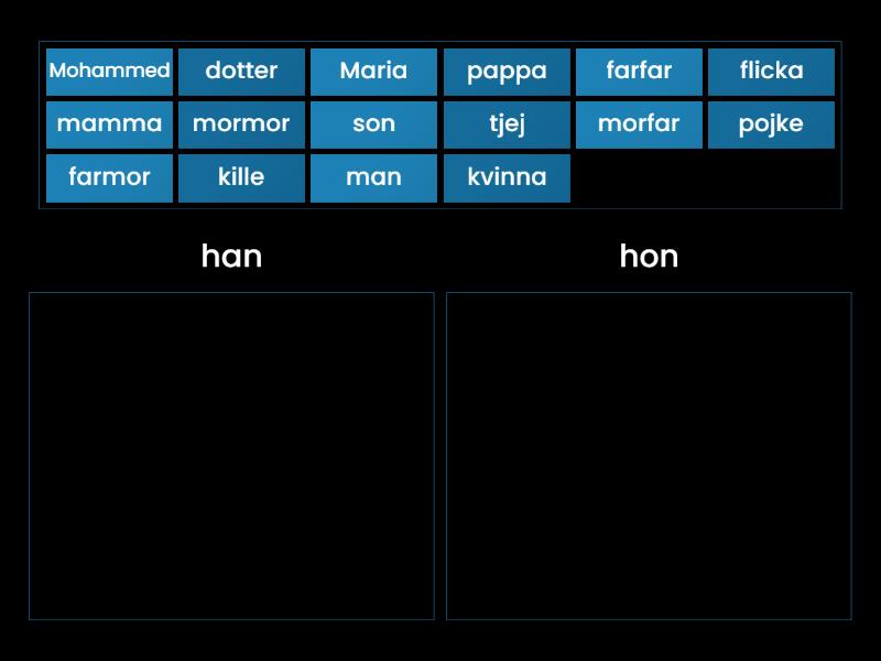 HON och HAN 1 - Categorize