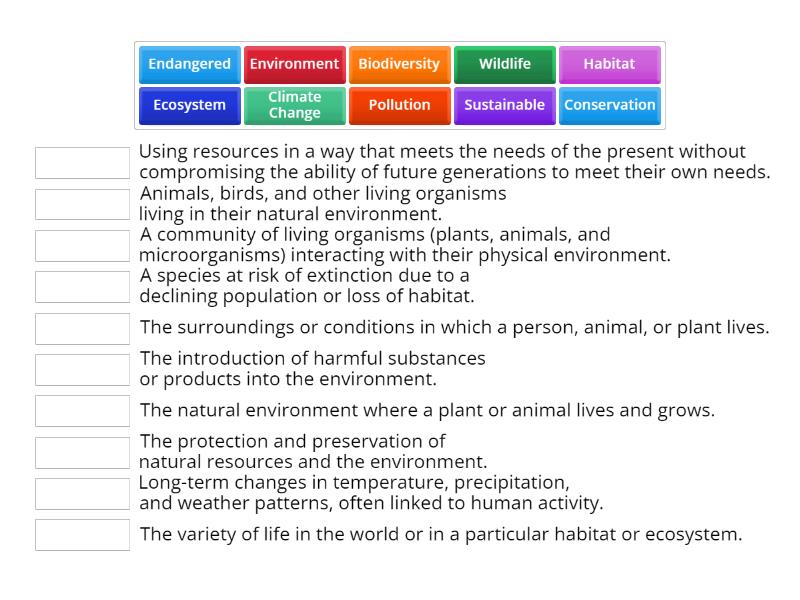 B3-B4 CNV Nature and Environment - Match up