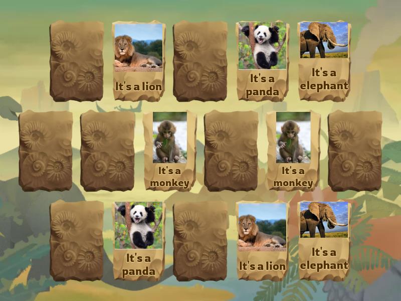 Wild animals - Matching pairs