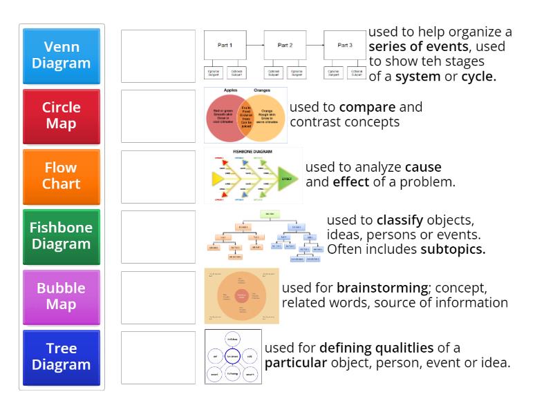 Inclusive Education: Graphic Organizers - Match up
