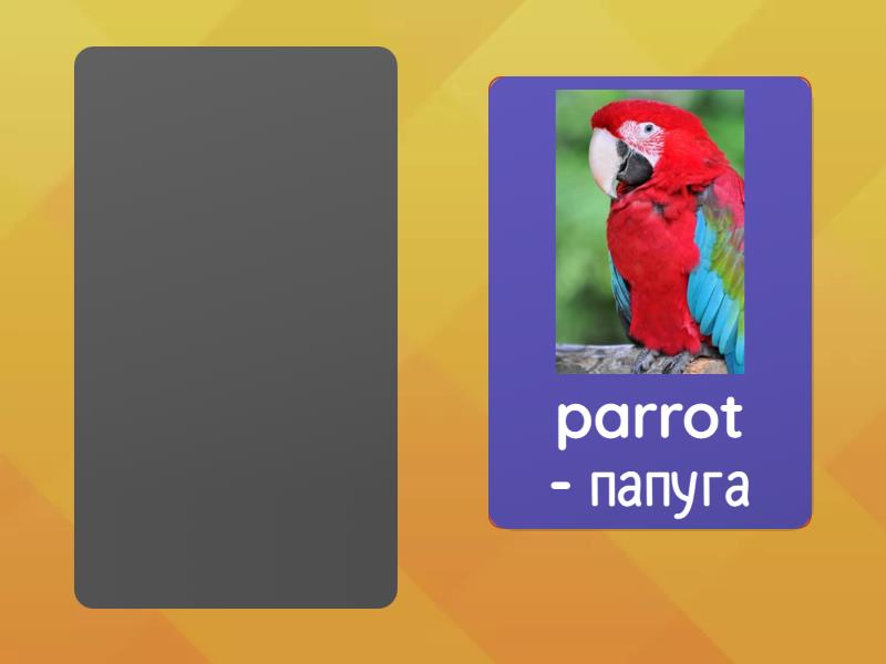 1 - Unit 4 Lesson 1 - Random cards