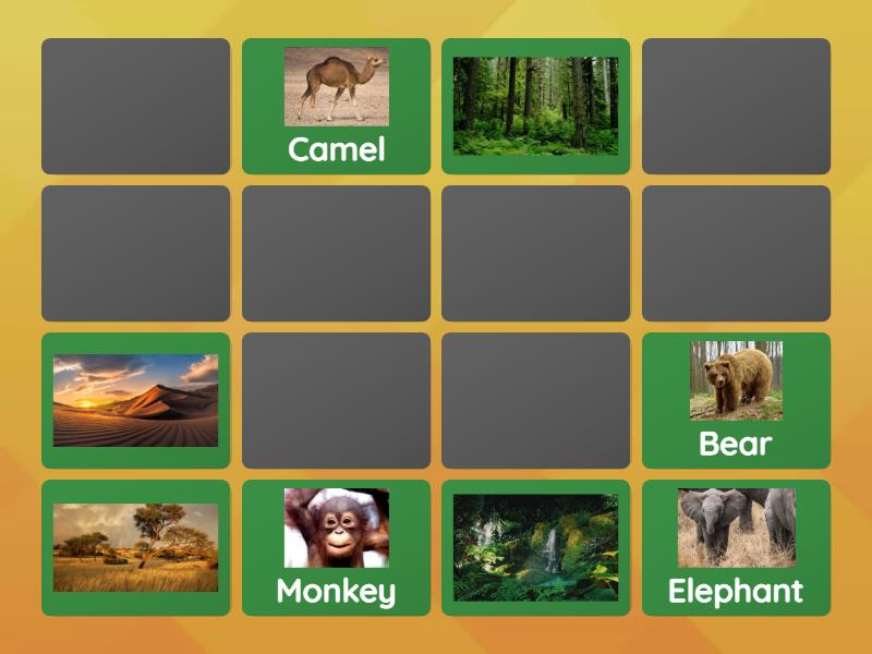Wild animals - Matching pairs